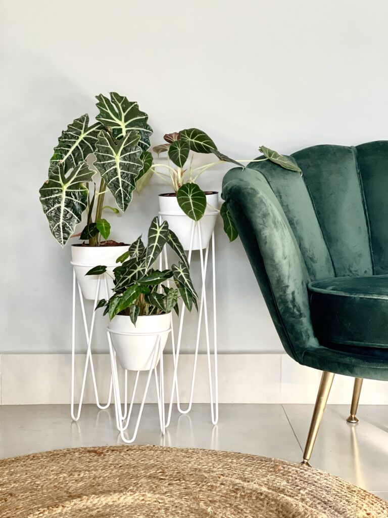 Transforme seu Ambiente com os Vasos Autoirrigáveis da Plantiê - Blog ...